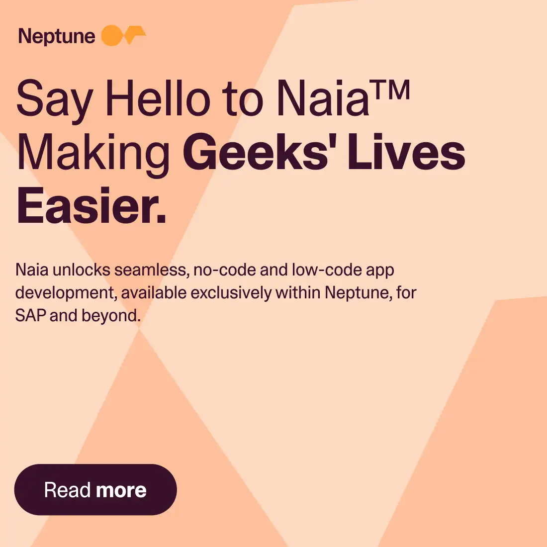 AI Assistant - Naia™, a game changer for developers | Neptune